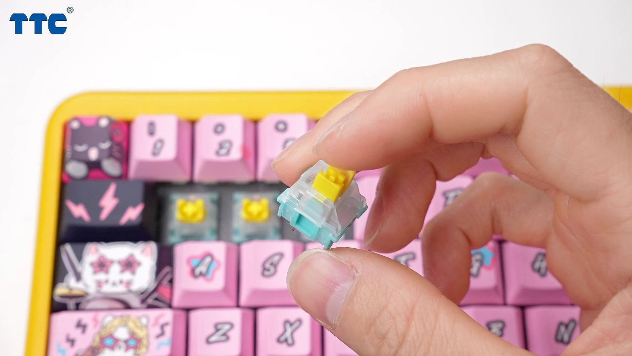 TTC - Clear Sky Mechanical Tactile Switches – OZO Keyboards